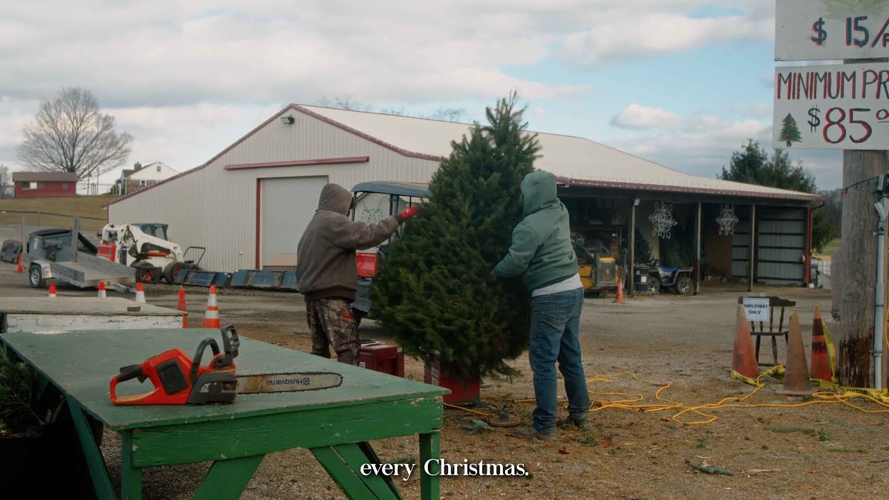 The Chester County Tree Farm Experience - YouTube