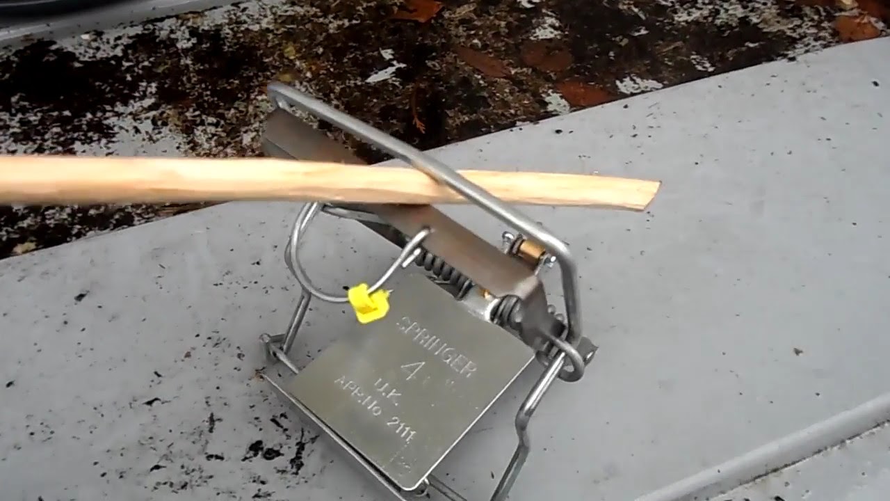 Fenn mark #4 springer trap - YouTube