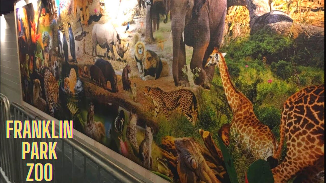Franklin Park Zoo Boston MA - YouTube