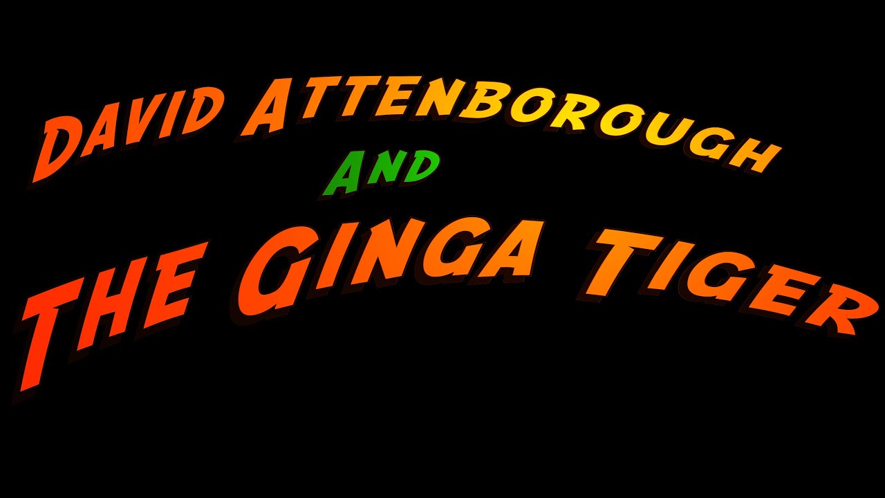 David Attenborough And The Ginga Tiger (Shaun's Documentary) - YouTube
