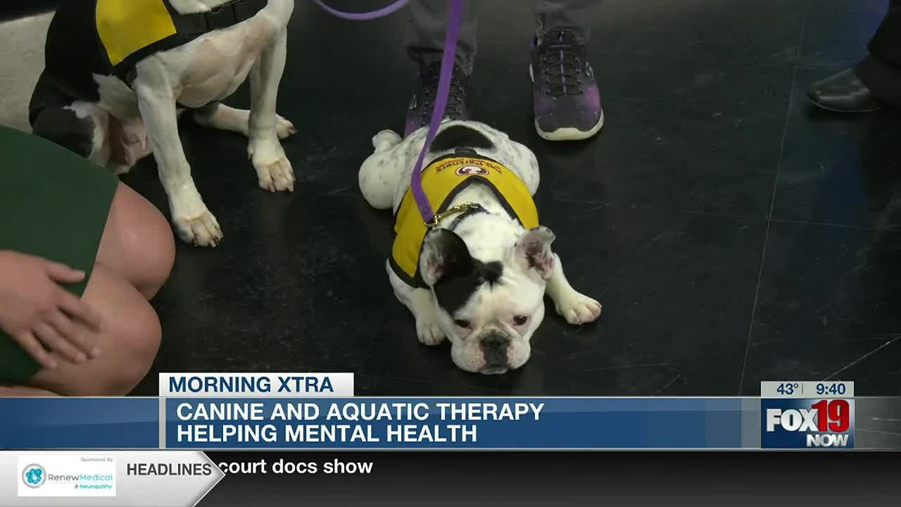 The Christ Hospital Offers Aquatic and Canine Therapy - YouTube
