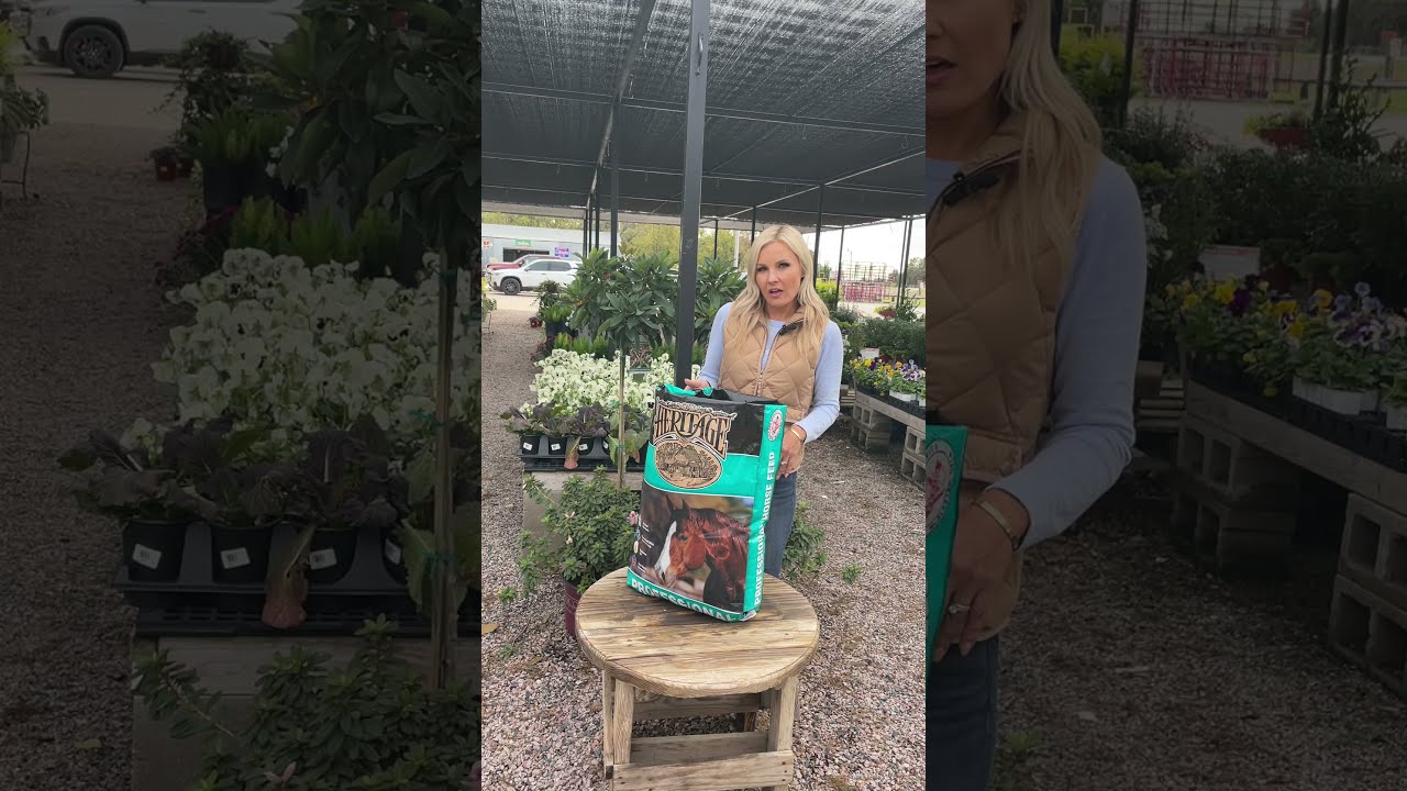 Product Spotlight: Big V Feeds Heritage Professional Horse Feed - YouTube