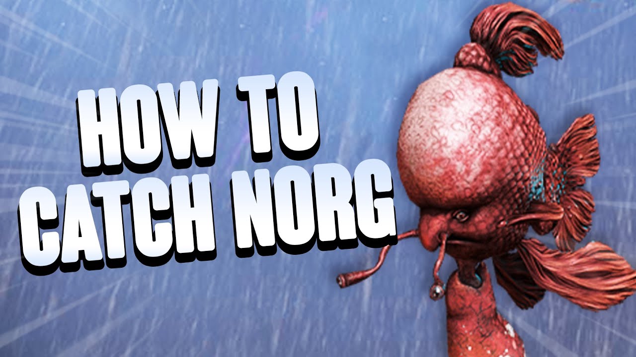How to Catch a Norg in Warframe #Shorts - YouTube
