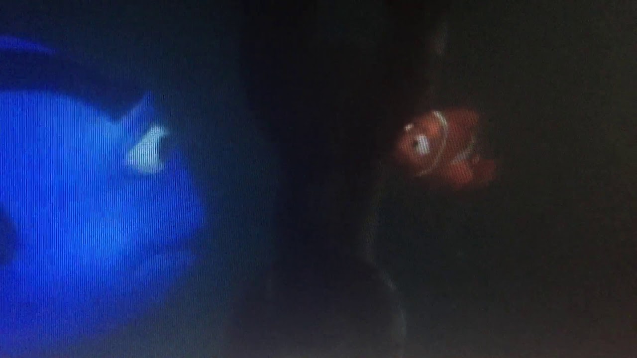 Finding Nemo - Nemo Reunite With Marlin - YouTube