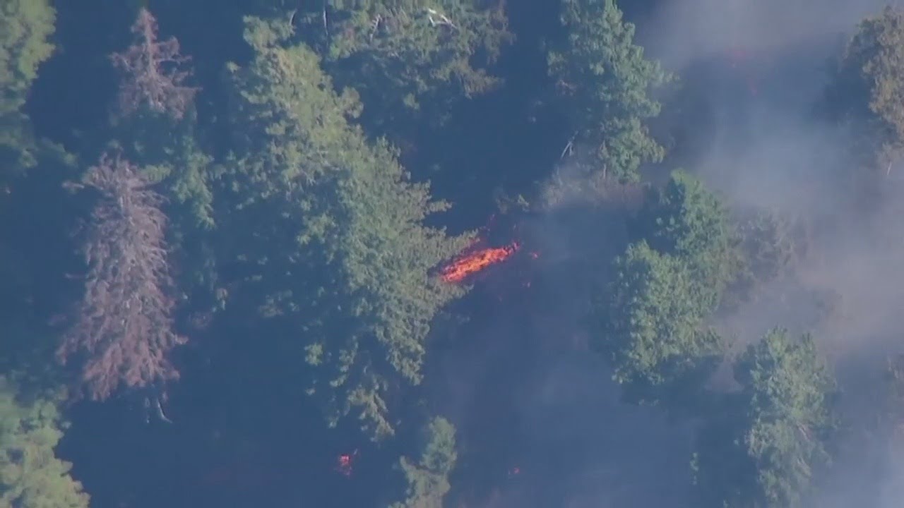 Pilot dies in helicopter crash while fighting White River Fire in Mt ...
