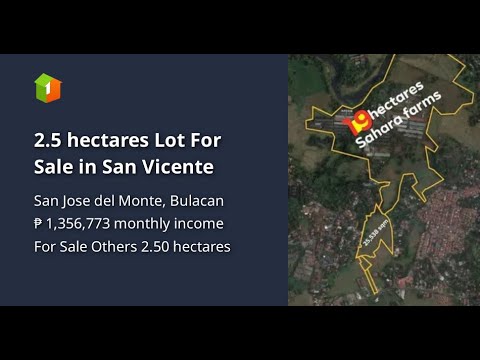 2.5 hectares Lot For Sale in San Vicente - YouTube