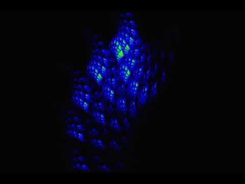 Affine Fractal 1 - YouTube