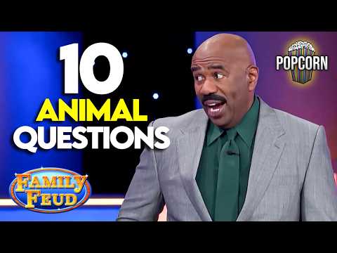 Best Animal Questions That Will Make You LAUGH! | Family Feud