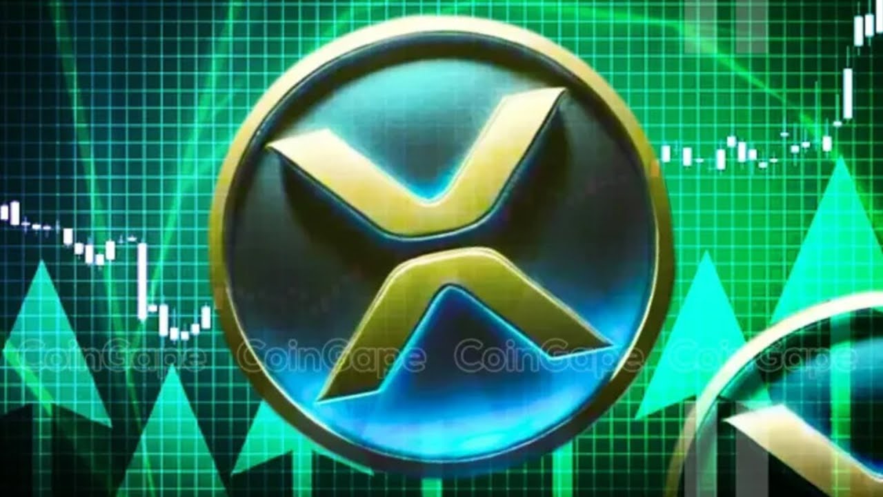 XRP RIPPLE DAVID SCHWARTZ XRP BULL RUN HAS BEGUN !! XRP INSIDERS ...