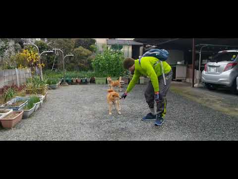 Japan Journey Pt. 5 - Biking to Furuyu