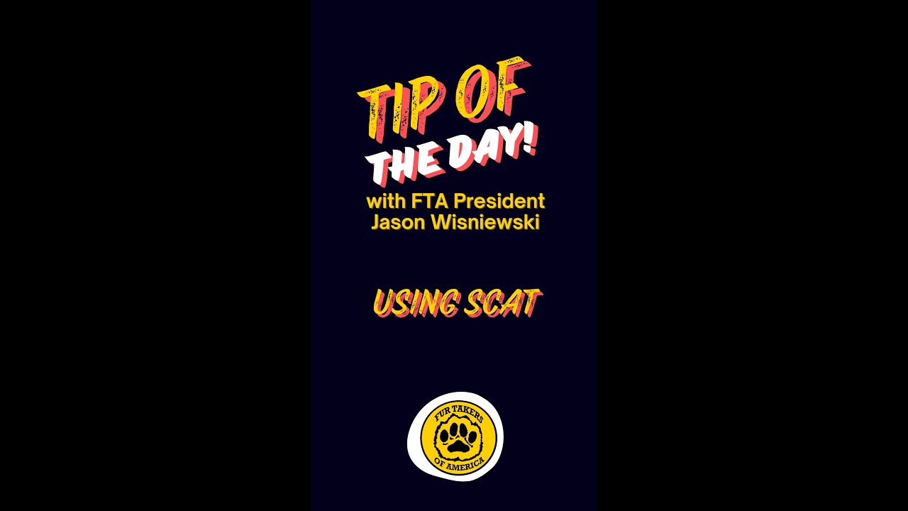 Tip of the Day from the Line #3 - Using Scat - YouTube