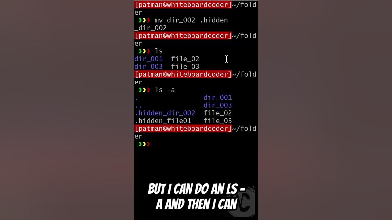 Linux Hidden Files Coding Linuxcommandlinetutorial Linuxtutorials Linuxcommandline Youtube 