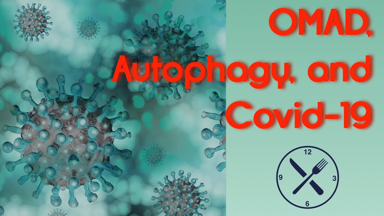 OMAD, Autophagy, and Covid-19 - YouTube
