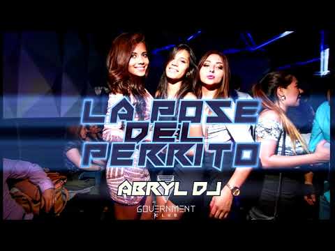 La Pose Del Perrito - DJ Abyl - Reggaeton - Tiestoriki - YouTube