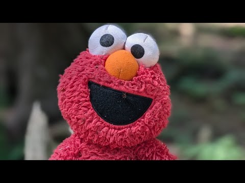 Elmo: Fun Outdoor Exploring for kids - YouTube