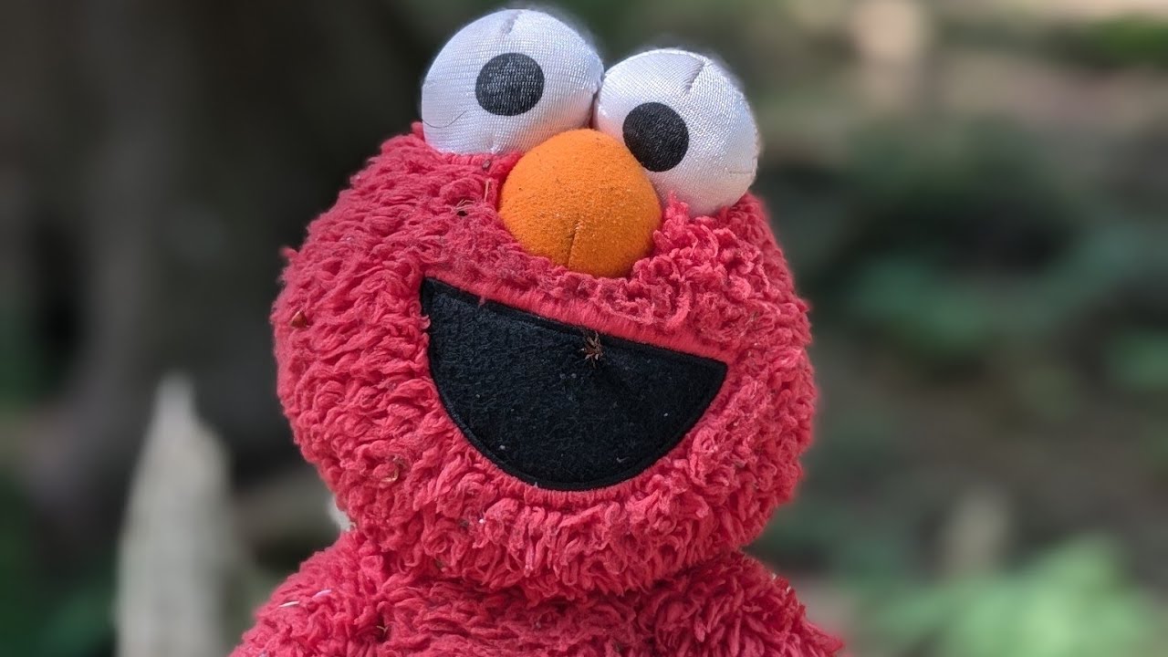 Elmo: Fun Outdoor Exploring for kids - YouTube
