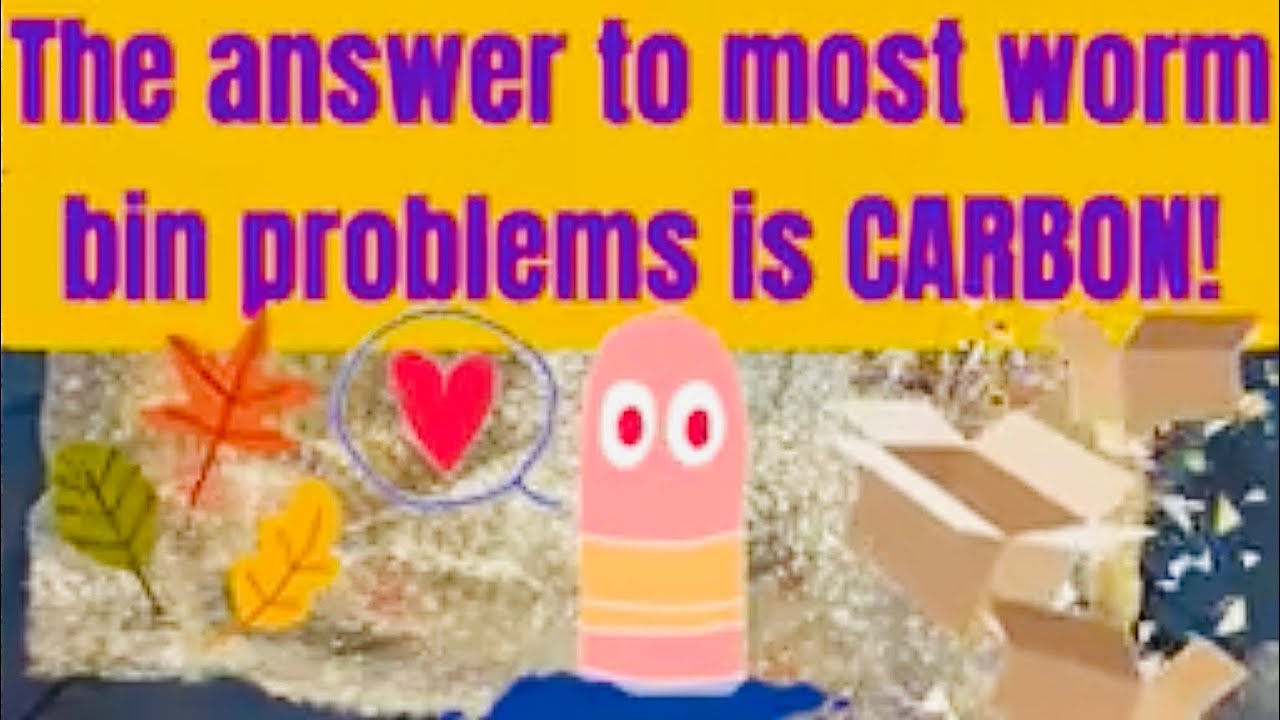 The answer to most worm bin problems is CARBON! - YouTube