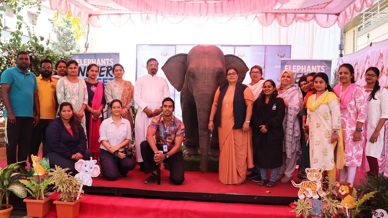 Ellie's Media Launch - Asia's First Hyper - Realistic Life - Size ...