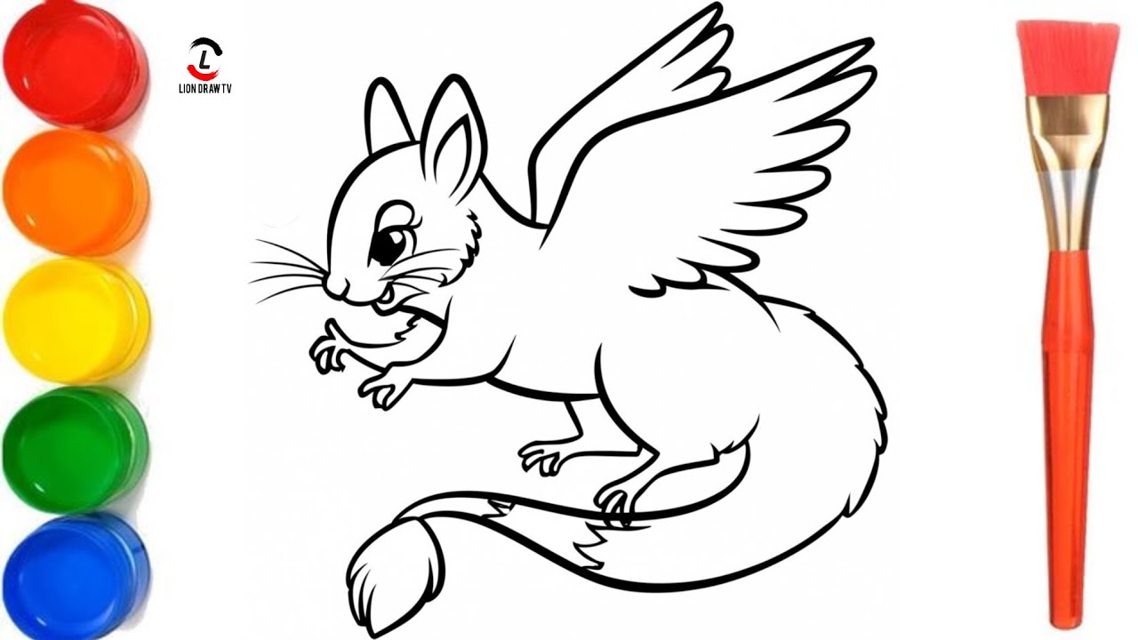 bHow to Draw flying squirrel drawing, Painting and Coloring for Kids ...
