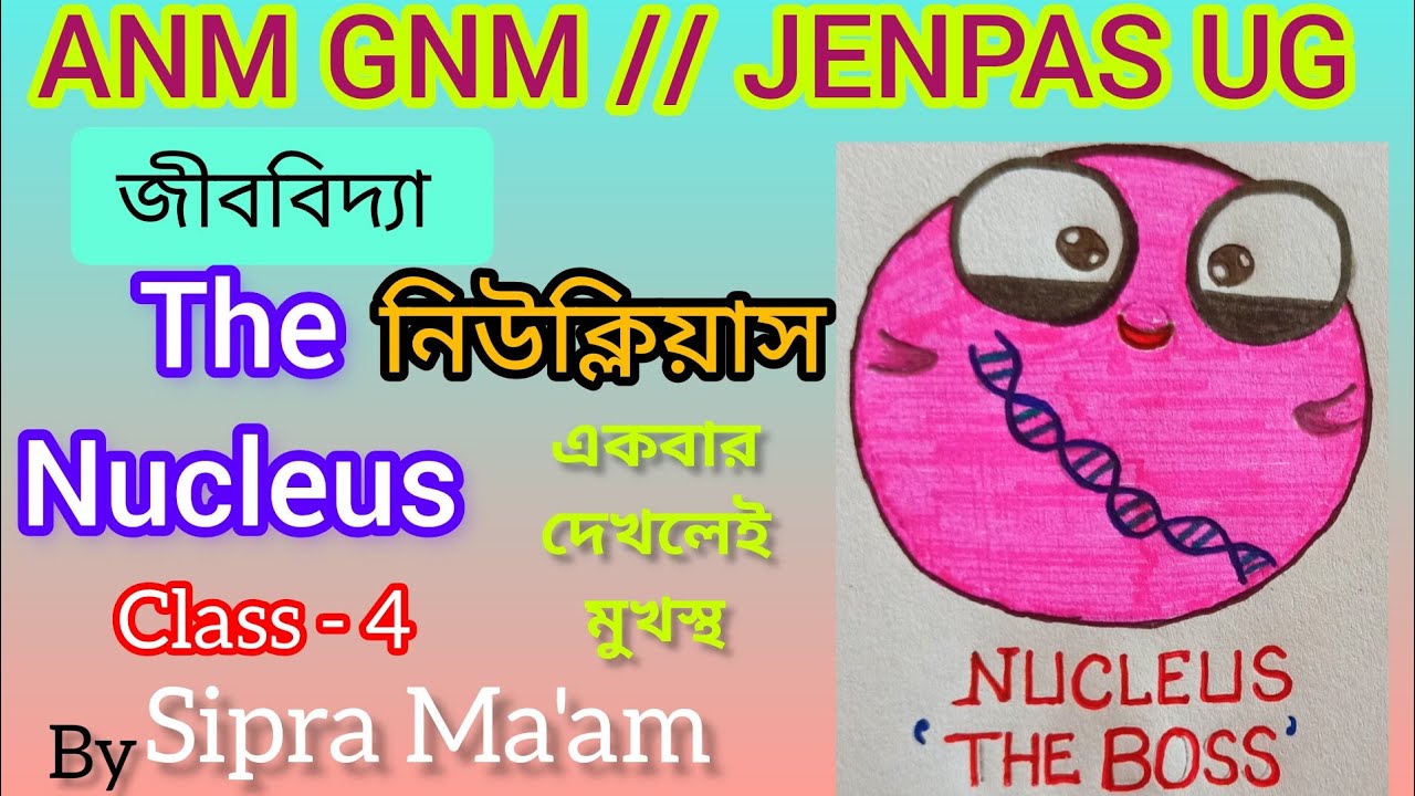 THE NUCLEUS// নিউক্লিয়াস // ANM GNM 2024// JENPAS UG 2024 preparation class by Sipra Ma'am ...