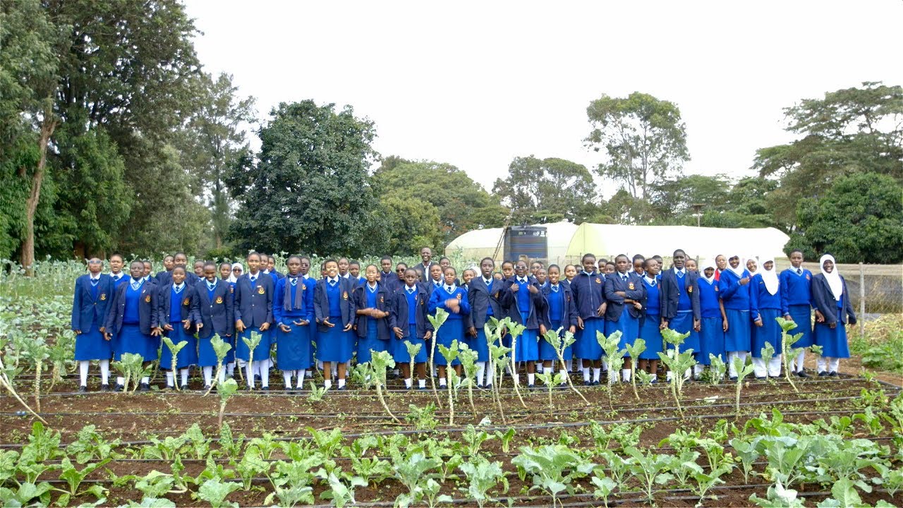 Shamba Shape Up Sn 13 - Ep 22: Dairy Cow, Improved Kenbro Chicken and ...