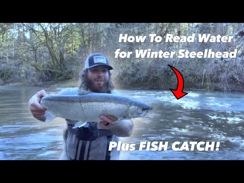 How To read water for Winter Steelhead | How To catch Steelhead on ...