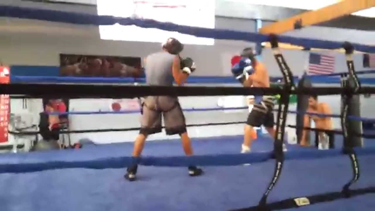 Professional Sparring & Training - YouTube