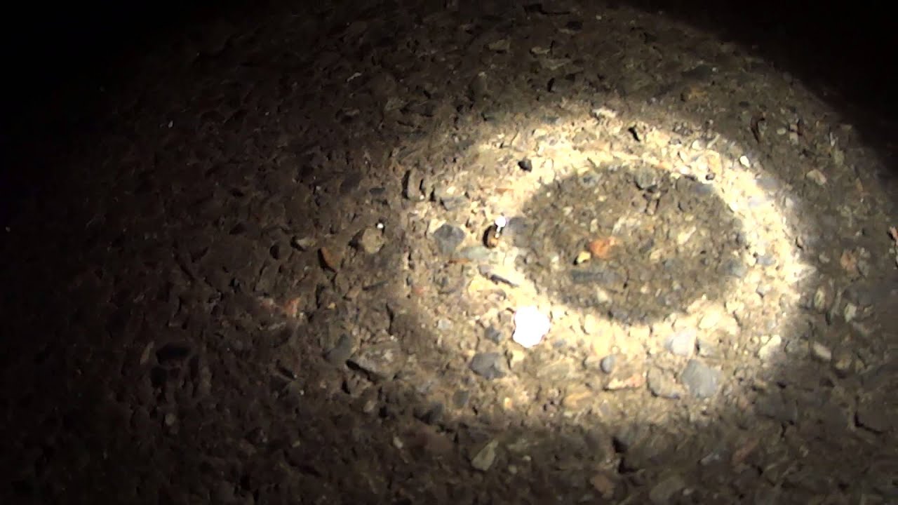 Glow Fly in Coffs Harbour - YouTube