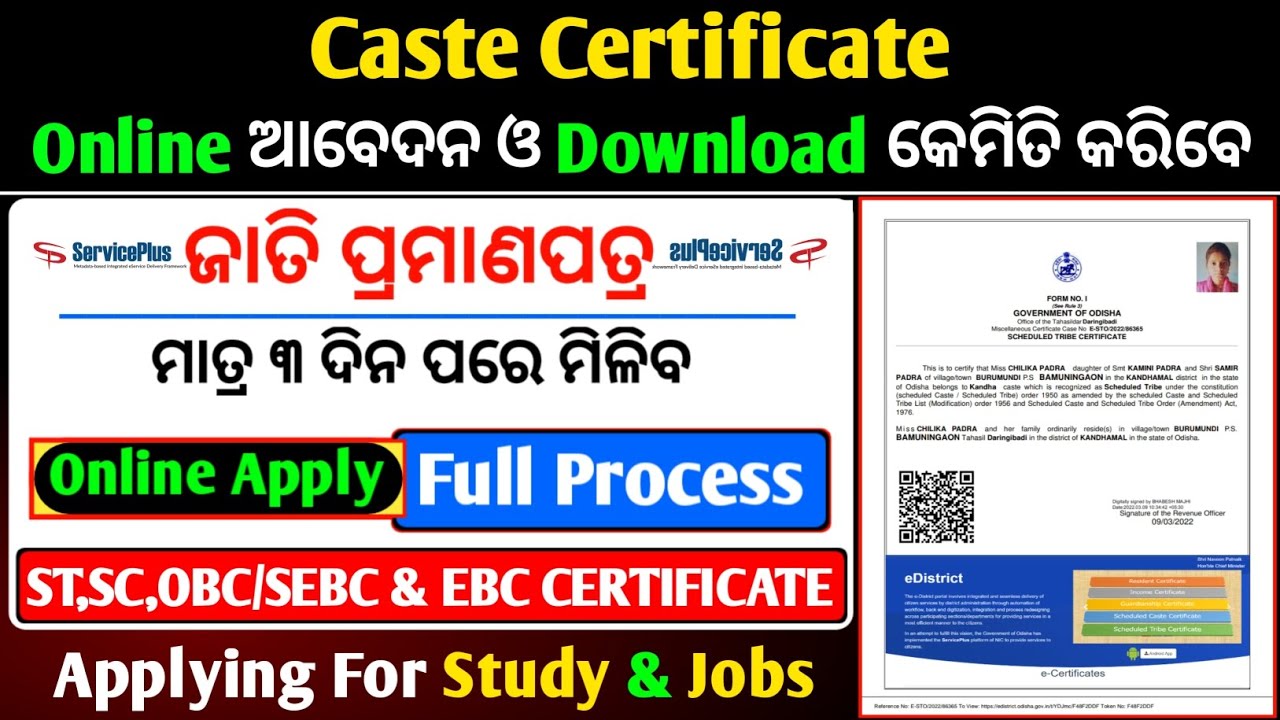 How To Apply Caste Certificate Online In Odisha ll Caste Certificate ...
