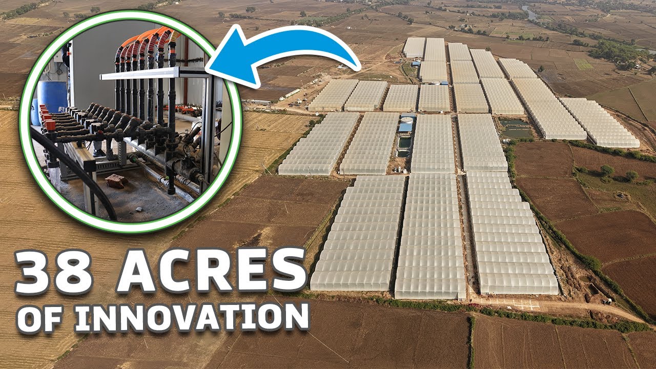 Hydroponic Farming on Barren Land | Eeki’s 38-Acre Namana Farm - YouTube