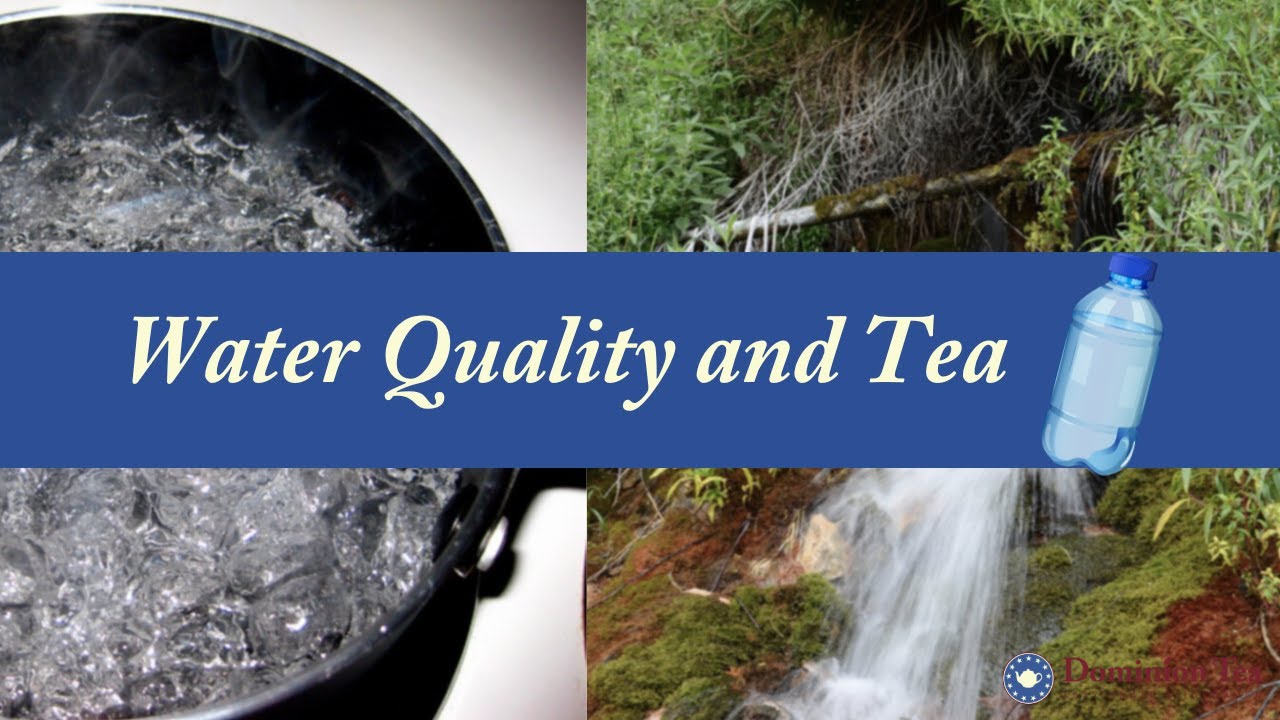Water Quality and Tea - YouTube