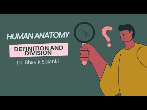 Definition and Division - Human Anatomy - YouTube