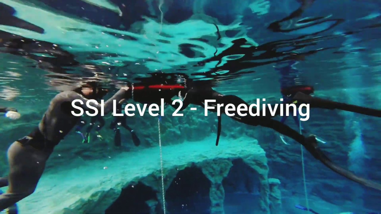 SSI Level 2 - Freediving - YouTube