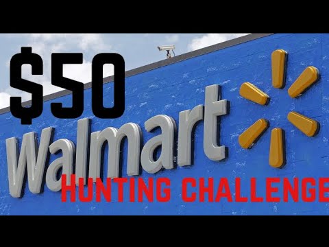 $50 Walmart Hunting Challenge - YouTube
