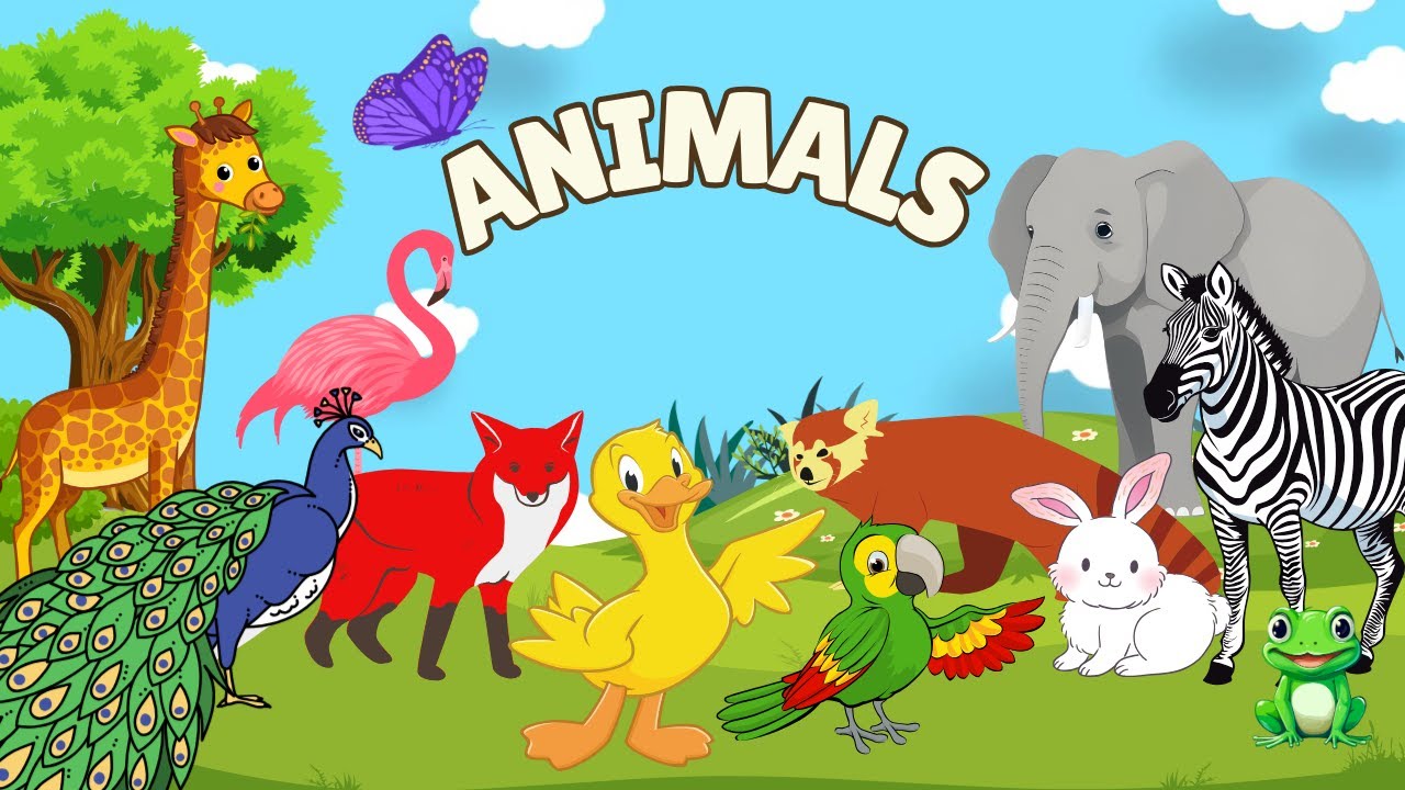 Animals for Kids | Learn Animal Names and Colors | Toddlers Educational ...