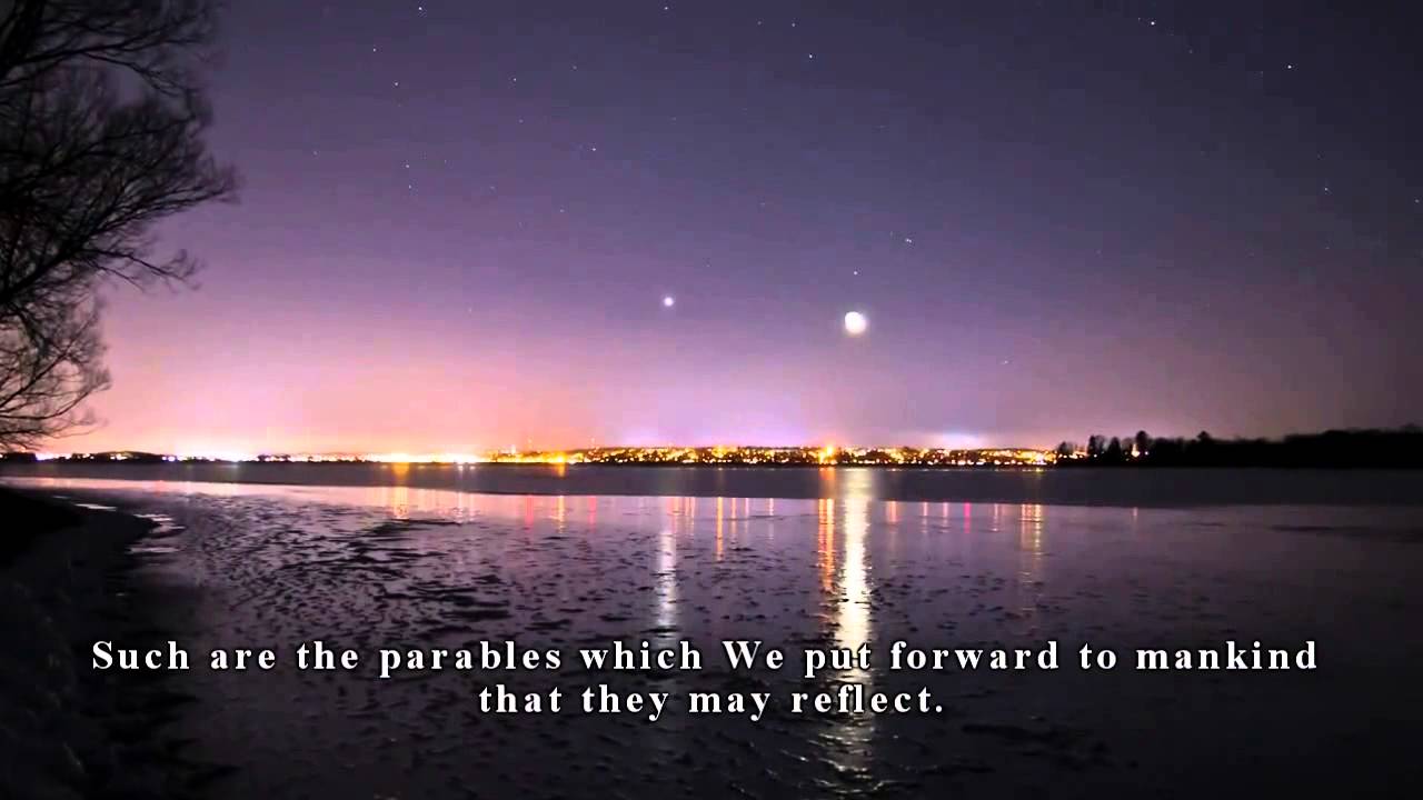 Murtada Bakour Surah Al Hashr Powerful Ayaat