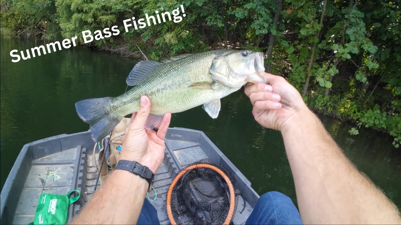 Summer Bass fishing - YouTube