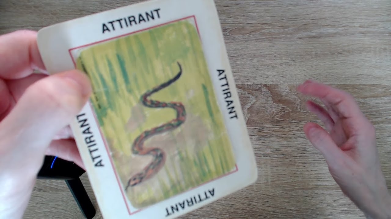 La dame de coeur ne transige pas avec le serpent mal intentionné.🐍 Tu ...