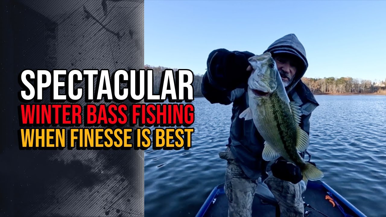 Spectacular Winter Bass Fishing - When Finesse Is Best - YouTube