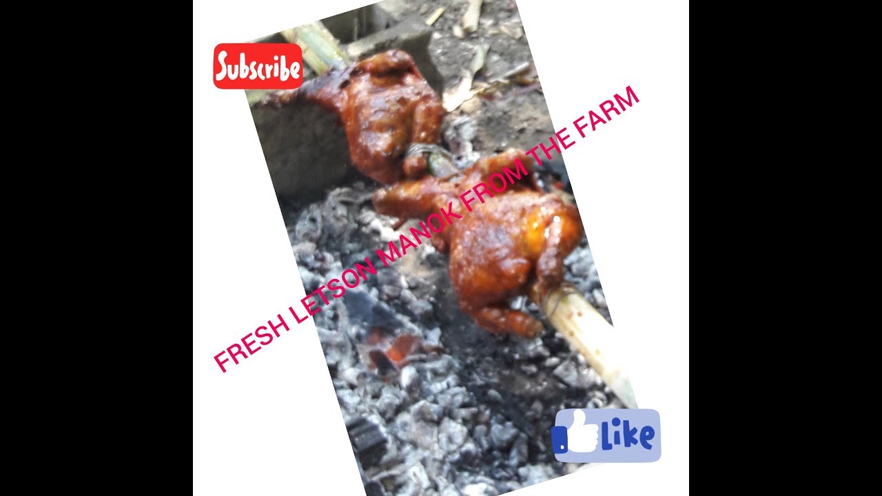 Letson manok fresh from the farm - YouTube