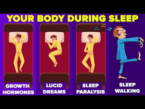 Things That Happen To Your Body While You're Asleep