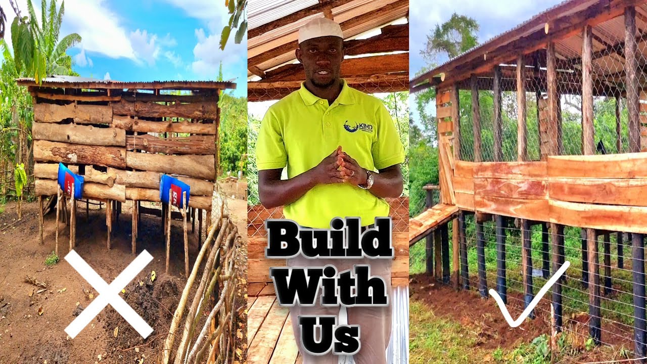 Standard Raised Goat Structure for 100 - 150 goats | 2023 - YouTube