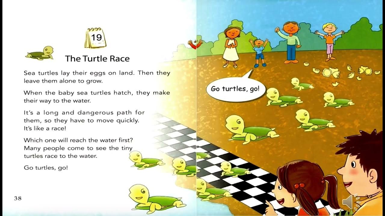 For beginners| One story a day| Book 2-19 The turtle race - YouTube