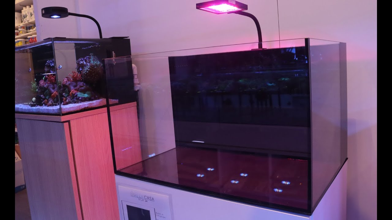 Let's set up a REFUGIUM ! - YouTube