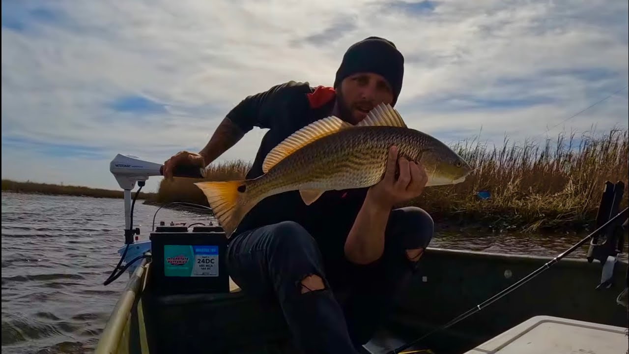Redfish and speckled trout in the Mississippi marsh! - YouTube