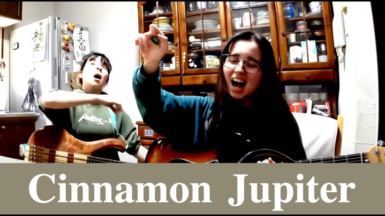 Diary 562 - Cinnamon Jupiter by Audrey and Kate - guitar and bass ...