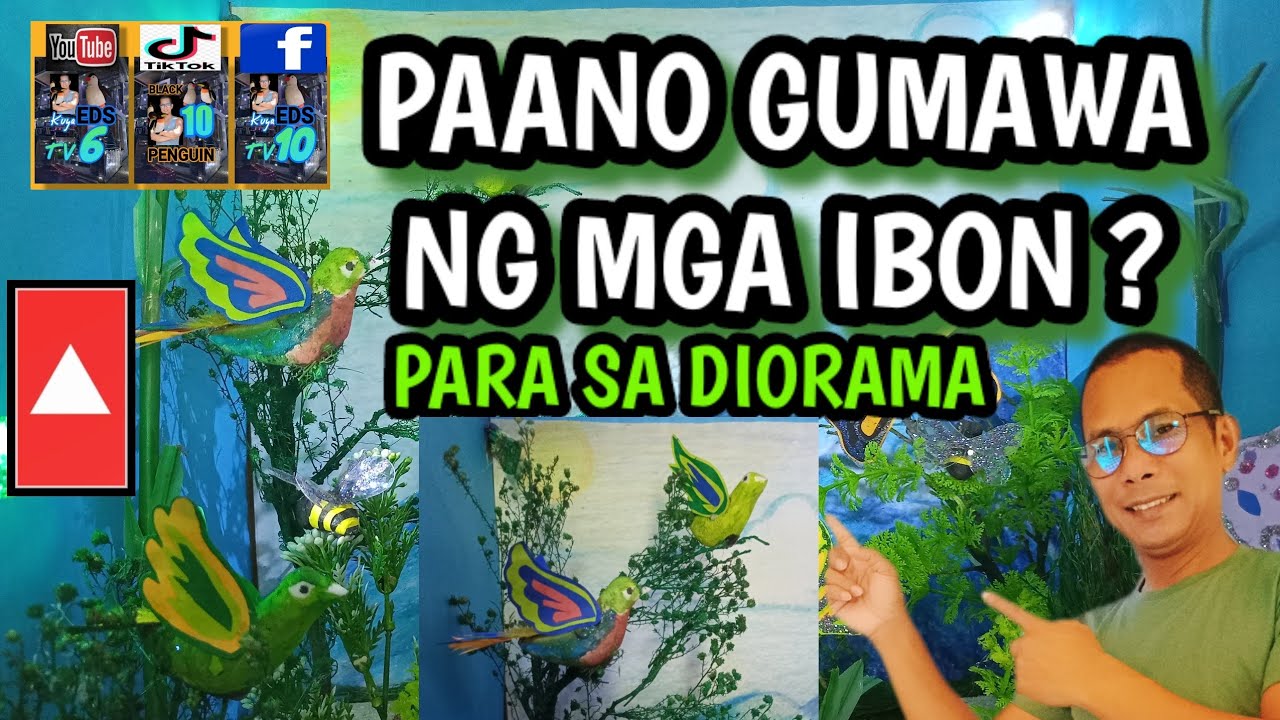 PAANO GUMAWA NG IBON (BIRDS) PARA SA DIORAMA #ibon #birds #diorama #kuyaedstv6 #kuyaedstv10 ...