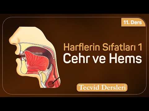 Harflerin Sıfatları 1 | Cehr ve Hems | Tecvid Dersleri 11