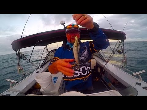 How to rig pilchard troll baits for mackeral - YouTube