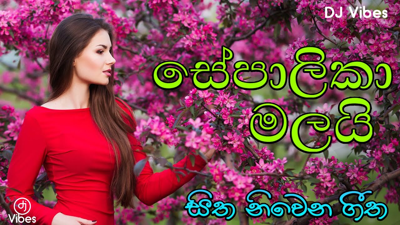 Sepalika Malai (සේපාලිකා මලයි) Song | DJ Vibes | Jayasiri Amarasekara ...